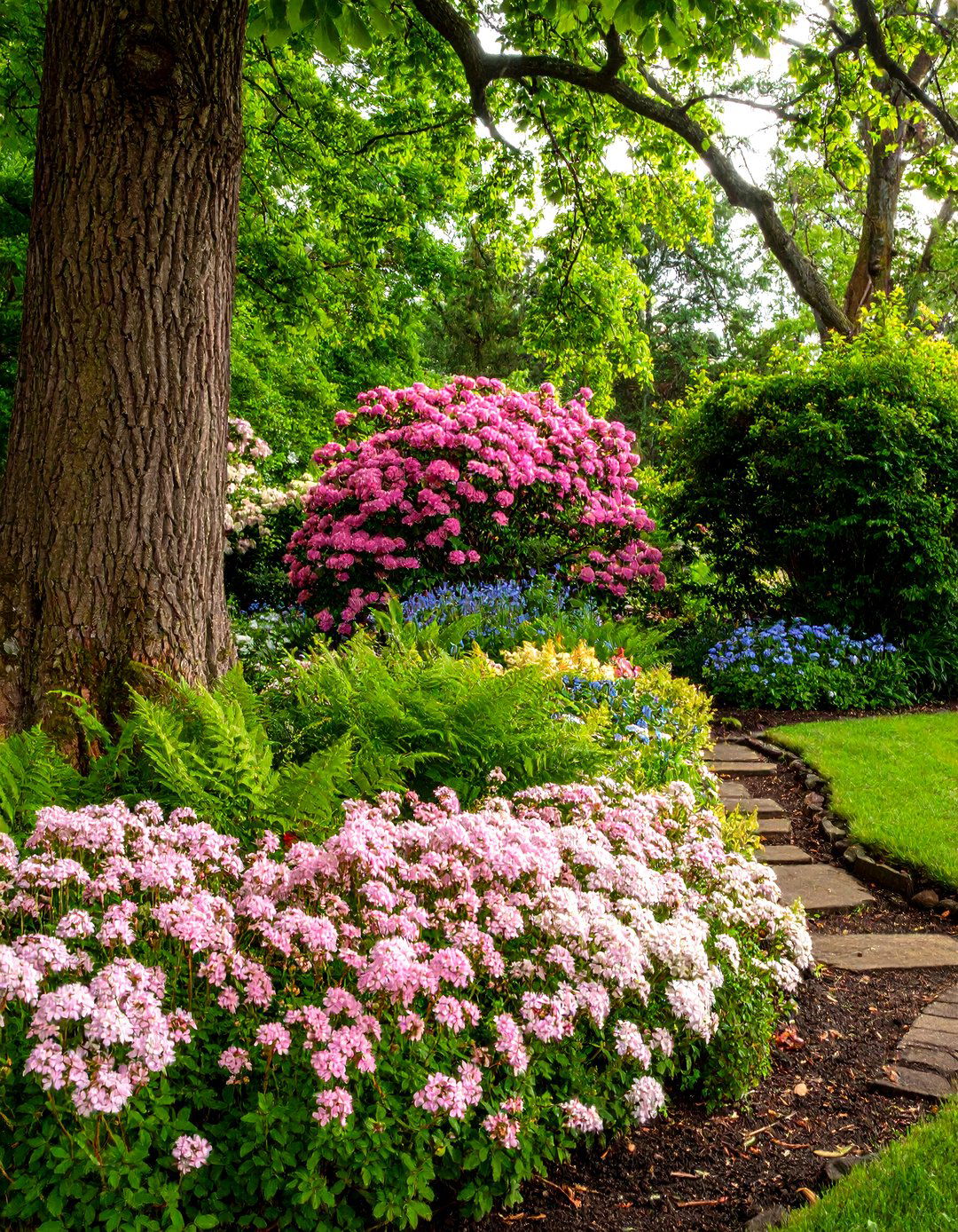 30 Landscaping Ideas Around Tree Roots That Work - We Love Home Blog
