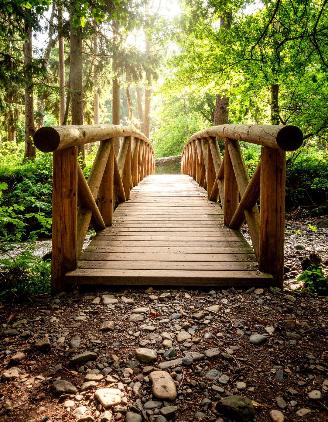 30 Stunning Garden Bridge Ideas for Your Water Feature - We Love Home Blog