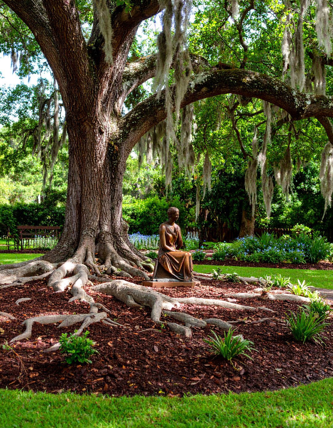 30 Landscaping Ideas Around Tree Roots That Work - We Love Home Blog