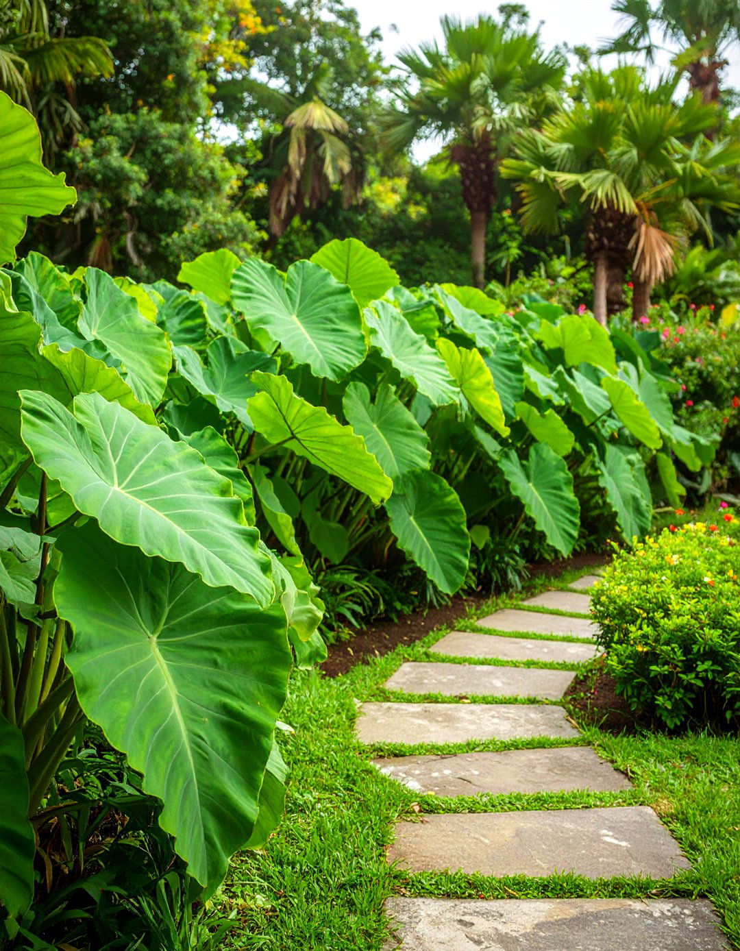 30 Tropical Garden Ideas for a Lush Outdoor Space - We Love Home Blog