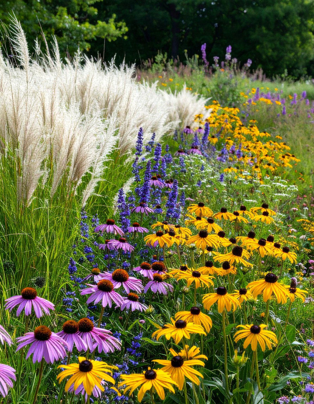 30 Wildflower Garden Ideas For A Natural Landscape We Love Home Blog
