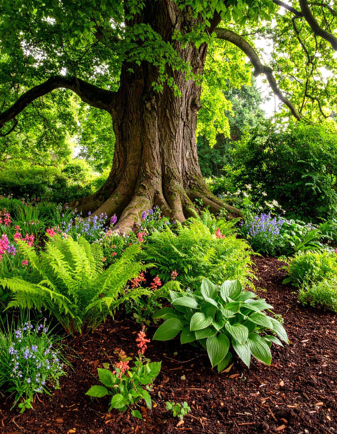 30 Landscaping Ideas Around Tree Roots That Work - We Love Home Blog