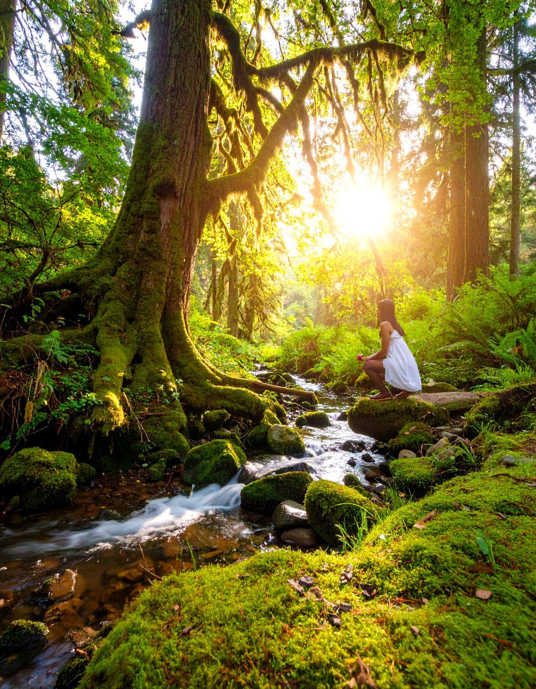 30 Outdoor Proposal Ideas for a Romantic Engagement - We Love Home Blog