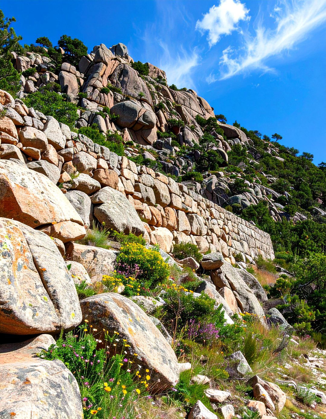30 Functional Retaining Wall Landscaping Ideas to Try - We Love Home Blog