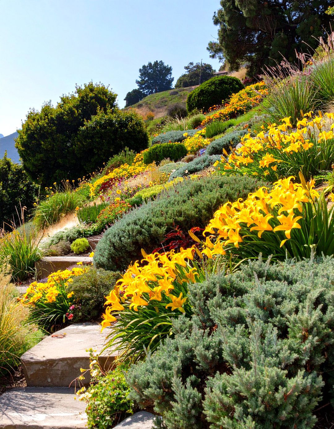 30 Steep Hillside Landscaping Ideas on a Budget - We Love Home Blog
