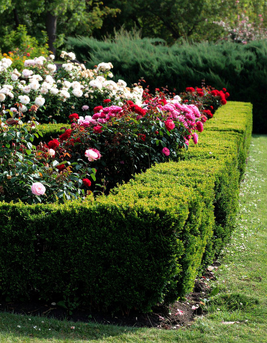 30 Modern Garden Edging Ideas for Clean Landscapes - We Love Home Blog