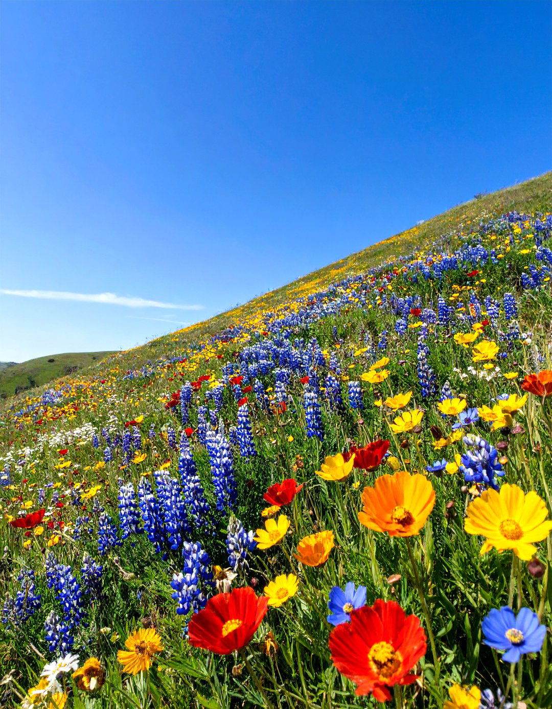 30 Steep Hillside Landscaping Ideas on a Budget - We Love Home Blog