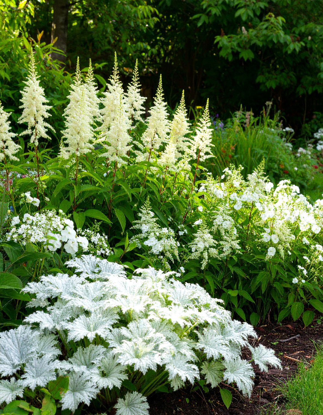 30 Shade Garden Ideas for a Lush and Green Backyard - We Love Home Blog