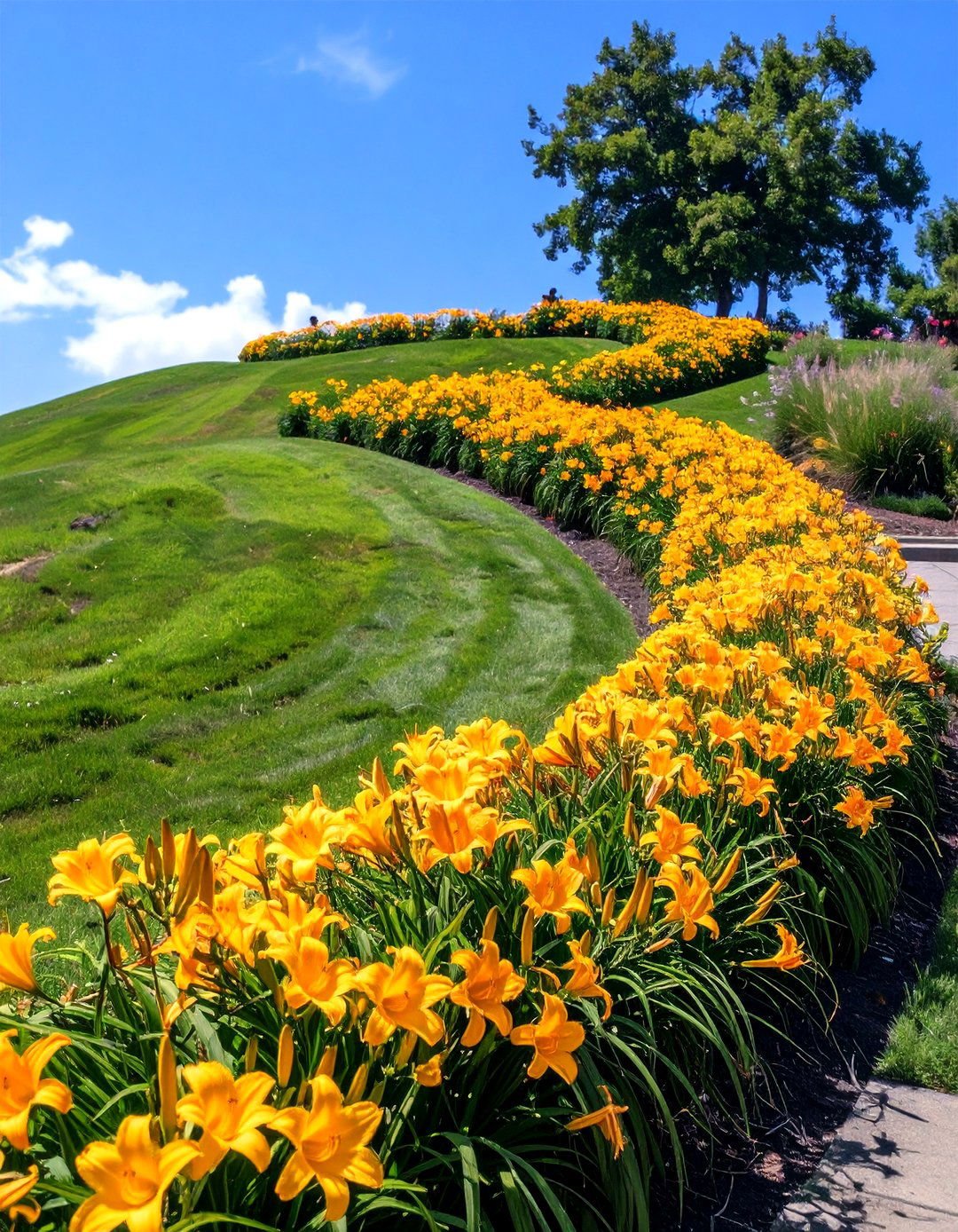 30 Hillside Landscaping Ideas on a Budget to Try Now - We Love Home Blog