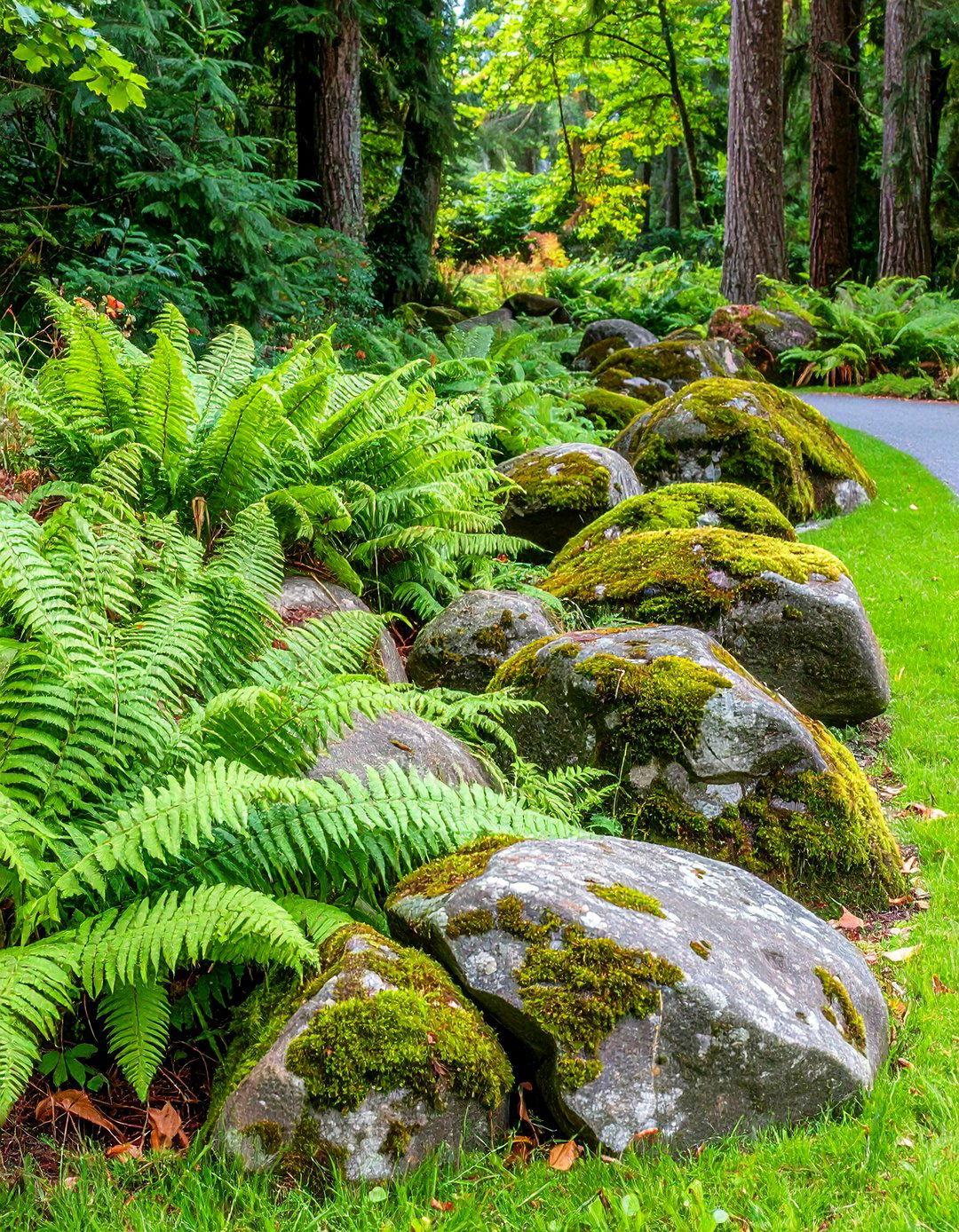 30 Driveway Border Landscaping Ideas for Your Home - We Love Home Blog