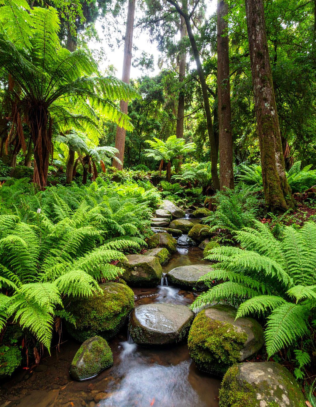 30 How to Create a Garden Design Ideas for Your Home - We Love Home Blog
