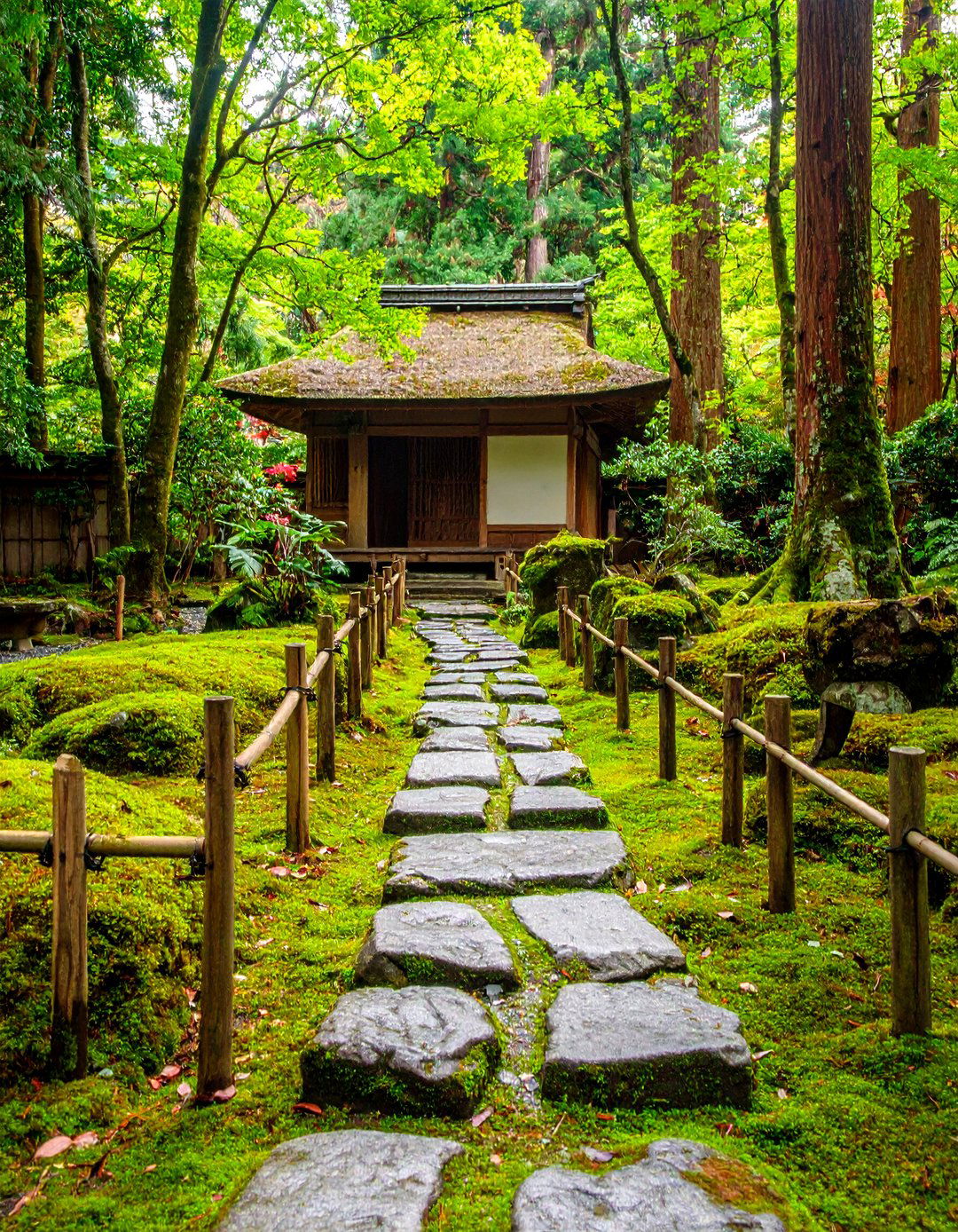30 Serene Japanese Garden Ideas for a Peaceful Yard - We Love Home Blog