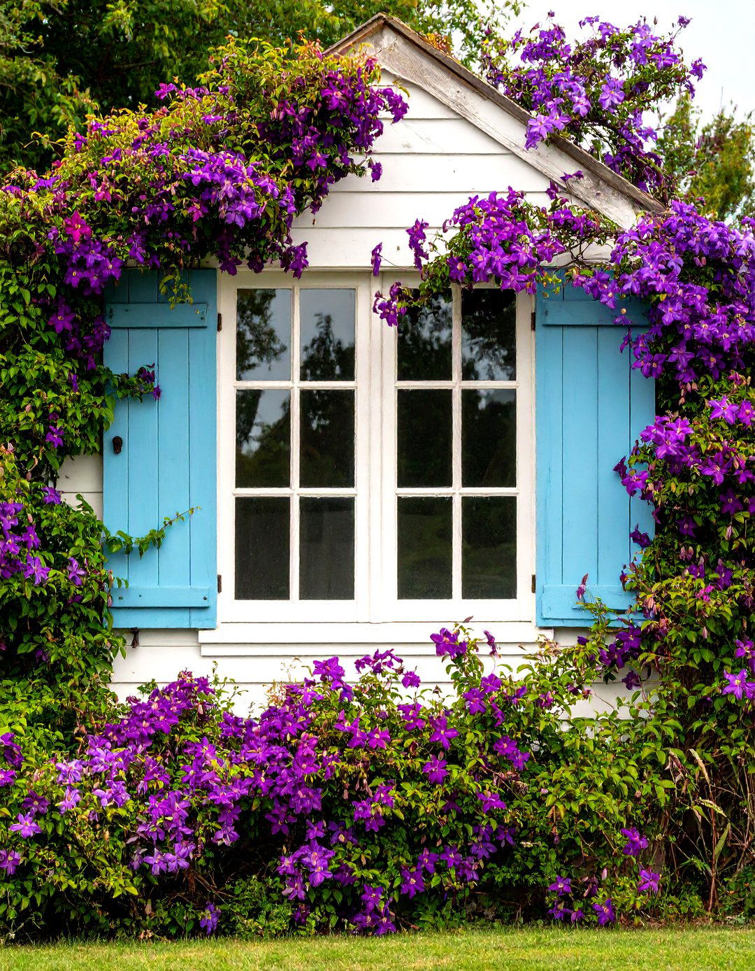 30 Versatile Garden Trellis Ideas for Climbing Plants - We Love Home Blog