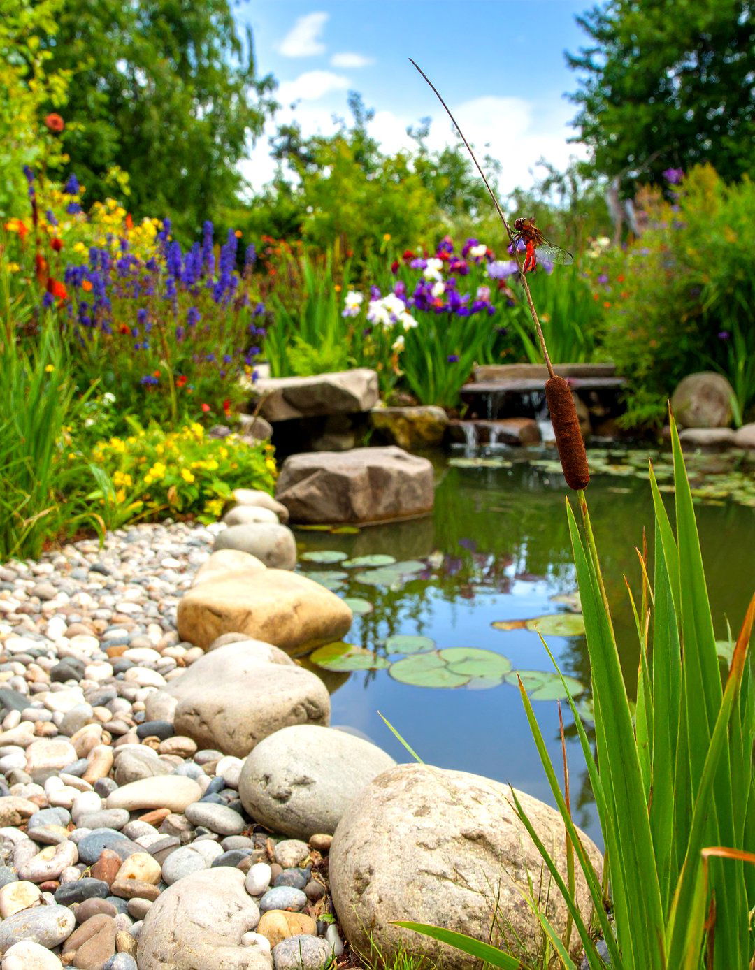 30 Outdoor Pond Ideas to Add Serenity to Your Garden - We Love Home Blog